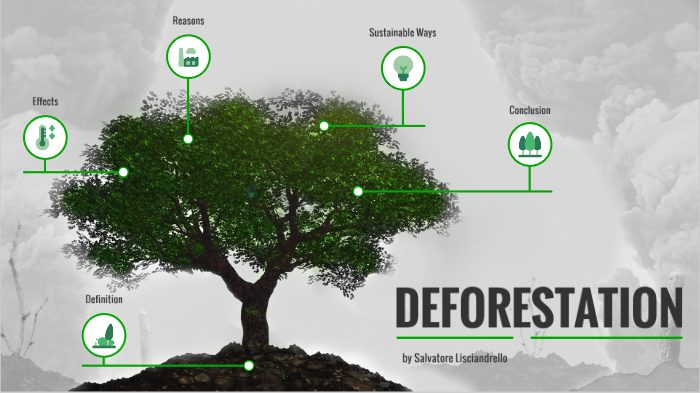 Deforestation english course by Salvatore Lisciandrello on Prezi