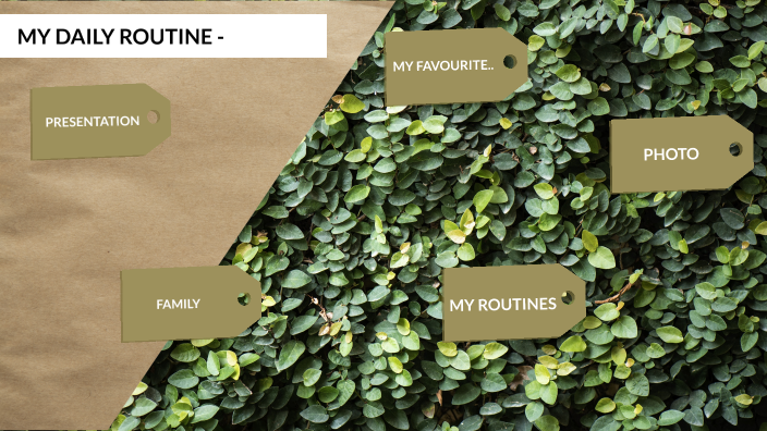 my daily routine by roc molina on Prezi