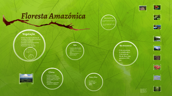 Floresta Amazonica by Thamires Rufino on Prezi