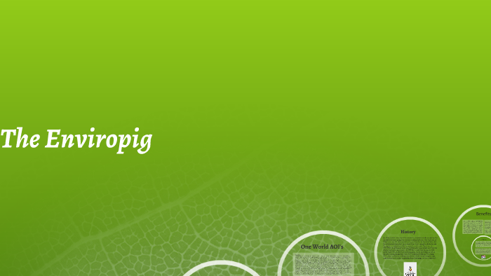 The Enviropig by Aitana De Romana on Prezi