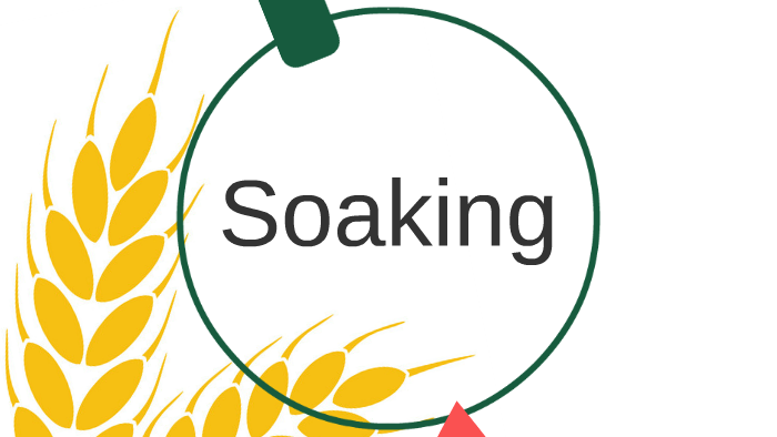 Heineken Brewing Process by Kiki Vos on Prezi