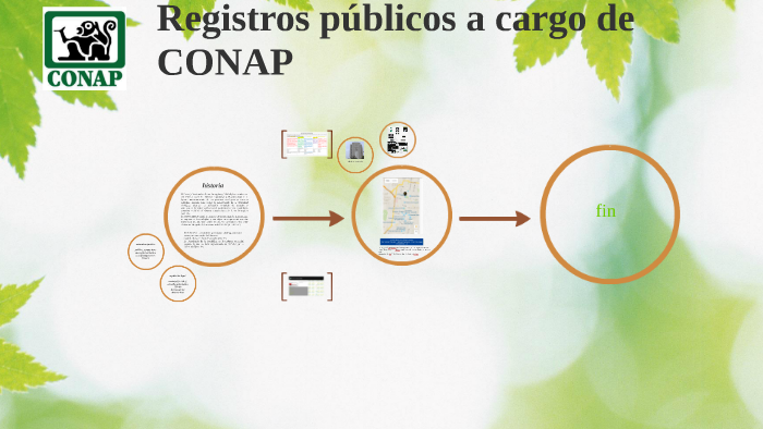 Registros públicos a cargo de CONAP by science brenam on Prezi