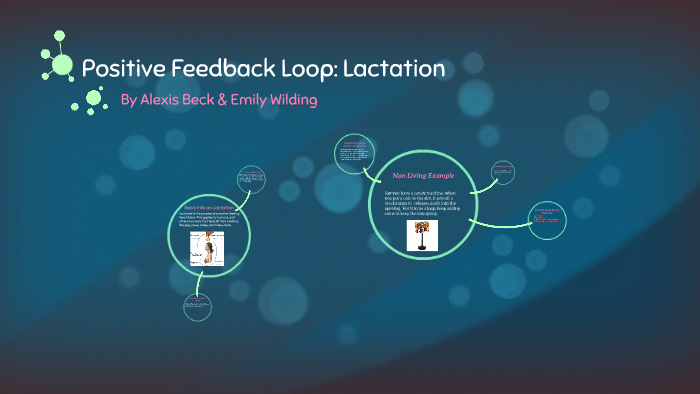 Positive Feedback Loop: Lactation by Alexis Beck on Prezi