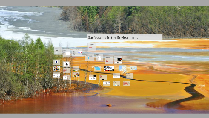 Surfactant in the Environment by Alizée DSX on Prezi