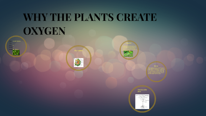 why the plants create oxygen by gerardo marinez on Prezi