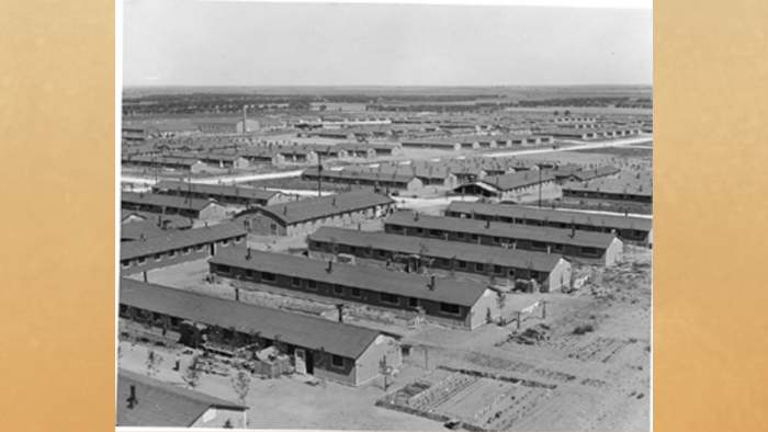 Desert Exile: The Uprooting of a Japanese-American Family by Chelsea ...