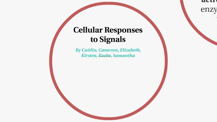 Cellular Responses to Signals by Caitlin Guzman on Prezi