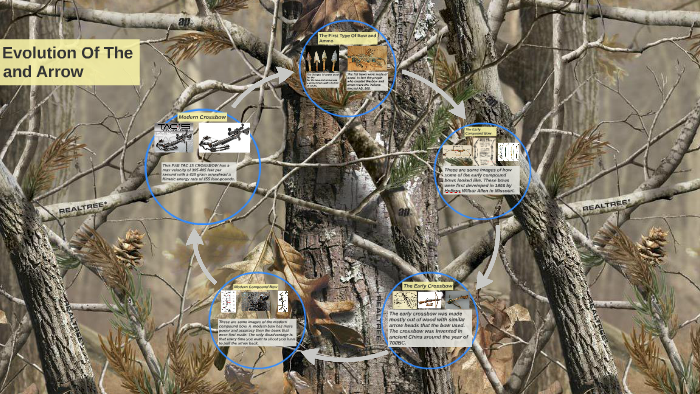 The Evolution Of The Bow And Arrow by David Bolanos on Prezi