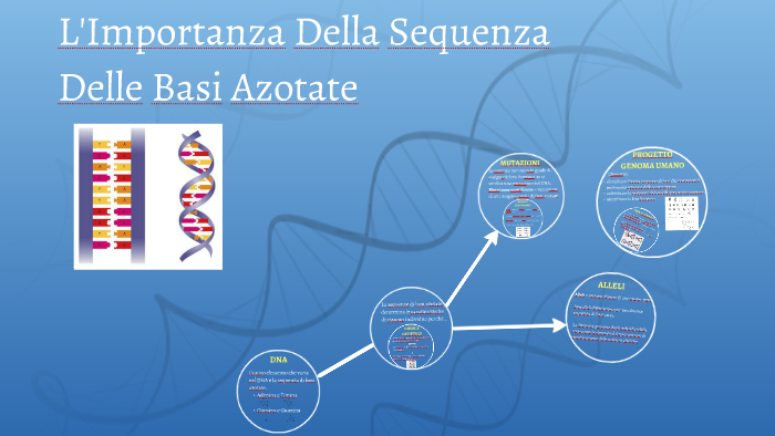L'importanza Della Sequenza Delle Basi Azotate by Irene Amadio on Prezi
