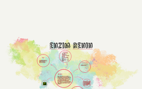 enzim renin by Nadya Tweetyweety on Prezi
