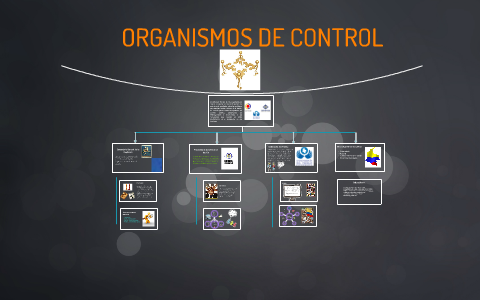 ORGANOS DE CONTROL by Miguel Sanchez on Prezi