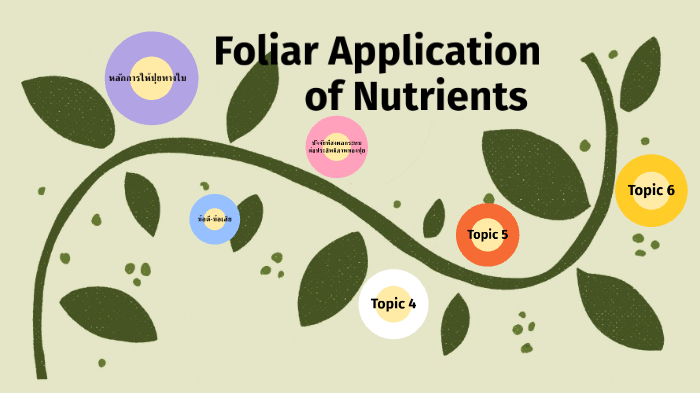 Foliar Application of Nutrients by จตุพร อินทรพิทักษ์ on Prezi