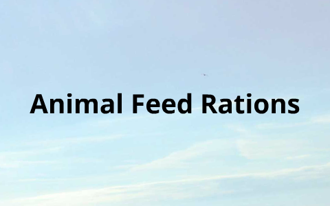 Animal Feed Rations by Will Doss on Prezi