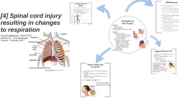 Case Study 4: Spinal cord injury resulting in changes to res by Georgia ...