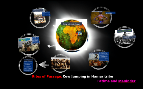 Rites of Passage: Cow Jumping in Hamar Tribe by Fatima Bajwa on Prezi