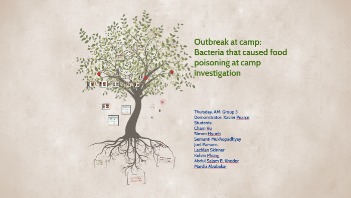 Outbreak at camp: Bacteria that caused food poisoning at cam by Semanti ...