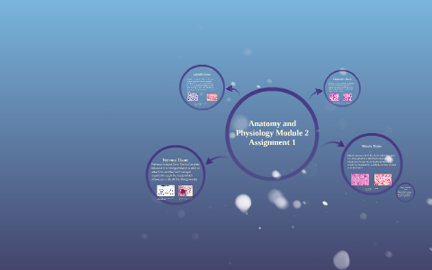 Anatomy and Physiology Module 2 Assignment 1 by Dylan Paulson on Prezi