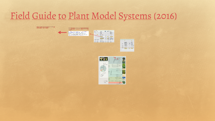 Field Guide to Plant Model Systems (2016) by on Prezi