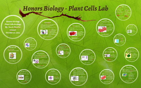Honors Biology - Plant Cells Lab by Sarah Manthe on Prezi