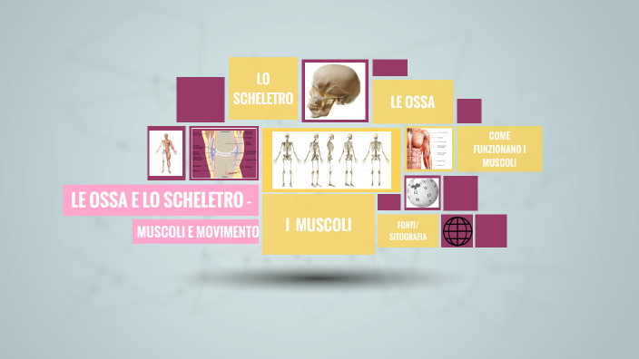 LE OSSA, LO SCHELETRO E LE FRATTURE by Mariateresa De Crescenzo on Prezi