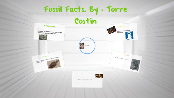 Fossil Facts. By : Torre Costin by computer 4 on Prezi