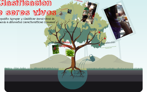 Clasificación de Seres Vivos by Laura Lithgow