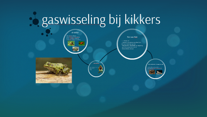 gaswisseling bij kikkers by thomas jensma on Prezi