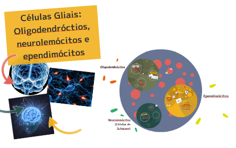 Oligodendróctios, neurolemócitos e ependimócitos by Camila Baier on Prezi