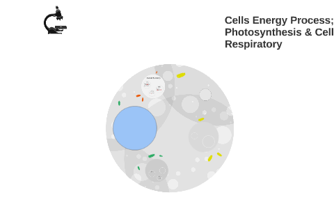 CellsEnergy Process; Photosynthesis & Cell Respiratory by Lira Culler ...