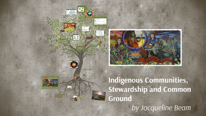 Indigenous Communities, Stewardship and Common Ground by Jacqueline ...