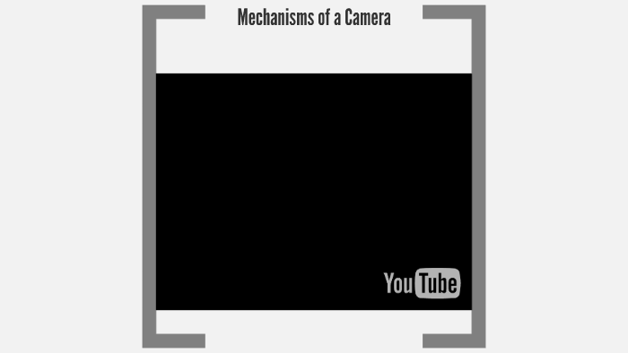 2 - Mechanisms of a Camera/File Types/Principles of Design by Jaime ...