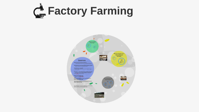Factory Farm-Feces by grace rittenhouse on Prezi