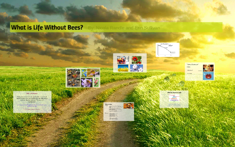 What is Life Without Bees? by Nicola Randle on Prezi