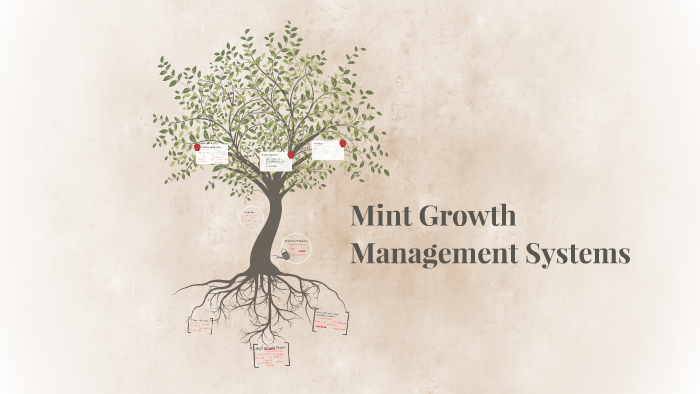 Mint Growth Management Systems by Andy Hollands on Prezi