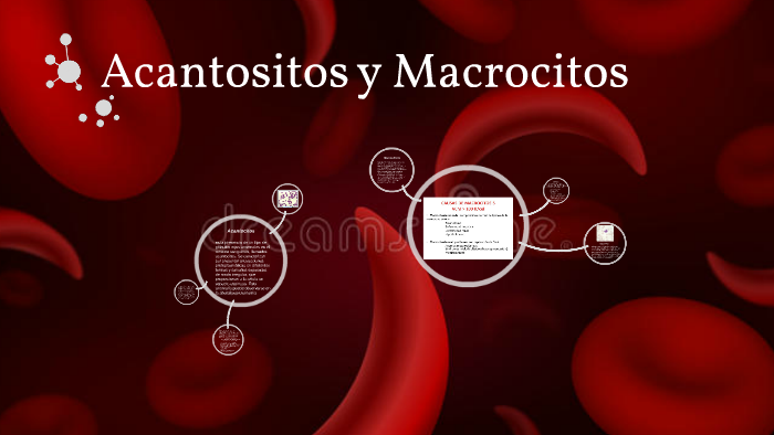 Acantositos y Macrocitos by Esmeralda Leiva
