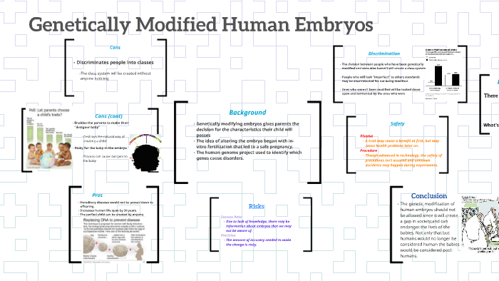 Genetically Modified Human Embryos by Evelyn Galicia
