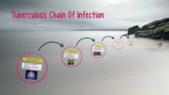 Tuberculosis Chain Of Infection by Craig Scott on Prezi
