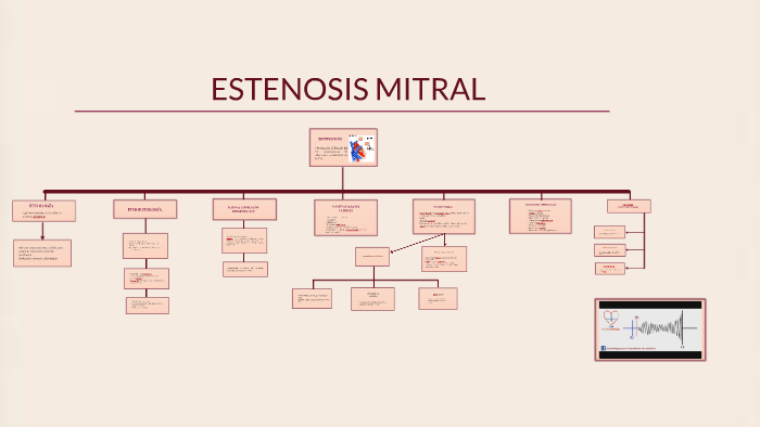 ESTENOSIS MITRAL by Yessi Marisol on Prezi