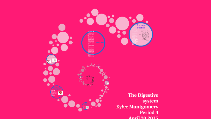 The Digestive system by kylee montgomery