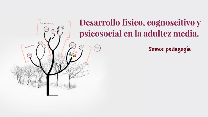 Desarrollo físico, cognoscitivo y psicosocial en la adultez by Somos Pedagogía on Prezi