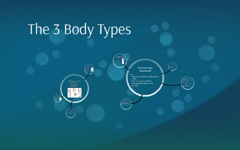 The 3 Body Types by Ashlyn B. on Prezi