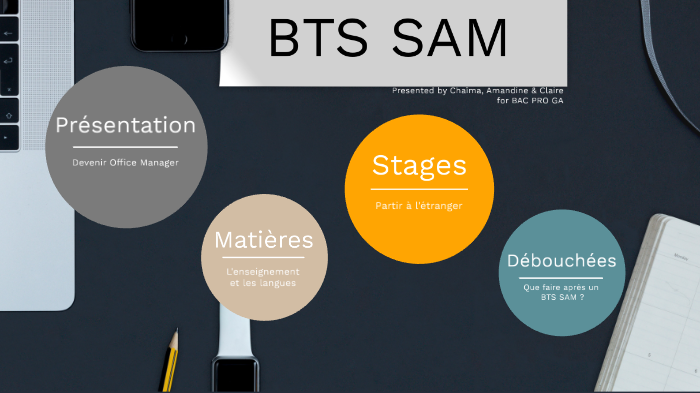 Présentation BTS SAM BAC PRO by Amandine NAULT on Prezi