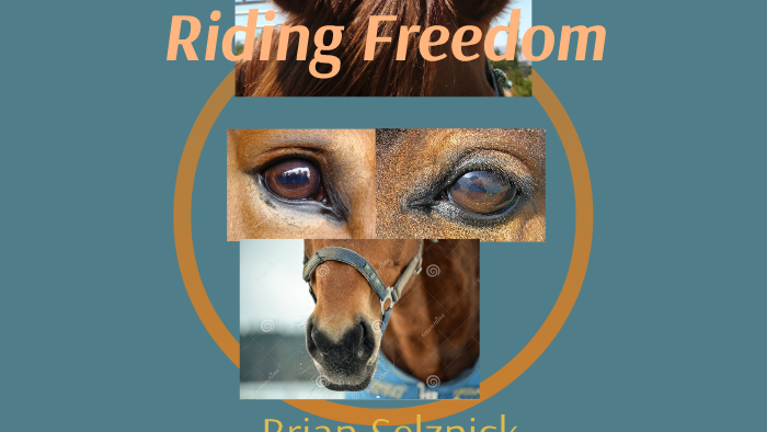 Brian Selznick by Heidi Ragsdale on Prezi