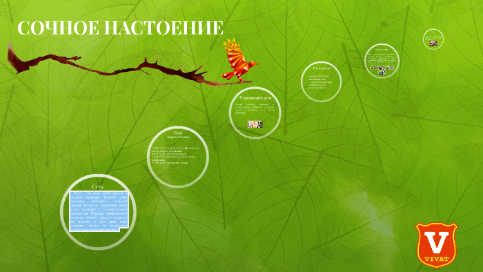 Свежий взгляд by Ivan Starkov on Prezi