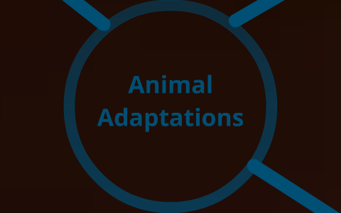 Animal Adaptation Mind-Map by Jordan Anderson on Prezi