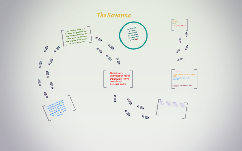 The Savanna by Emery Terry on Prezi