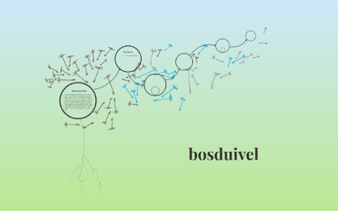 bosduivel by Nikita de kok on Prezi