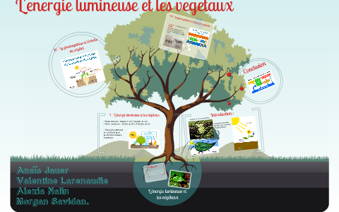 L'energie Lumineuse et les Vegetaux by Anaïs JR on Prezi