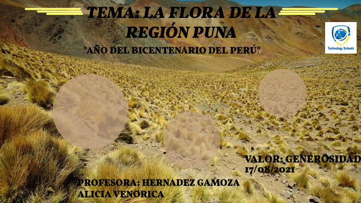 LA FLORA DE LA REGION PUNA by Milagros Yasuri Huayta Mendoza on Prezi