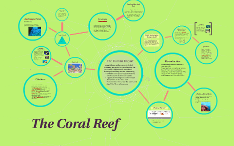 The coral reef by imelda zamora on Prezi